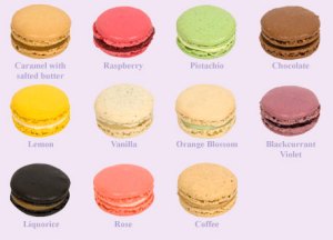 Snakes and Macarons | French Twisted Woman